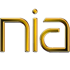 nia-site-logo – Northern Indiana Artists